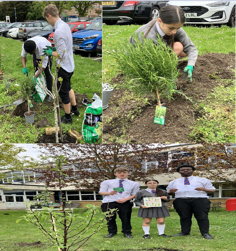 Transforming Outdoor Spaces: Schools Participating in ‘Planting in the ...