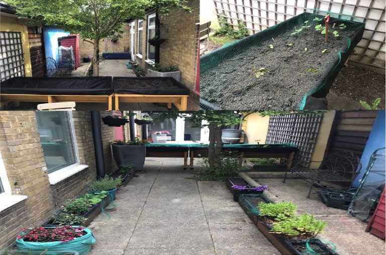 Transforming Outdoor Spaces: Schools Participating in ‘Planting in the ...
